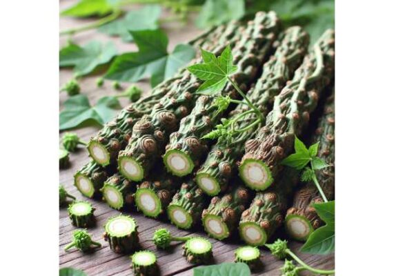 Giloy: Health Benefits, Properties, and Practical Applications ...