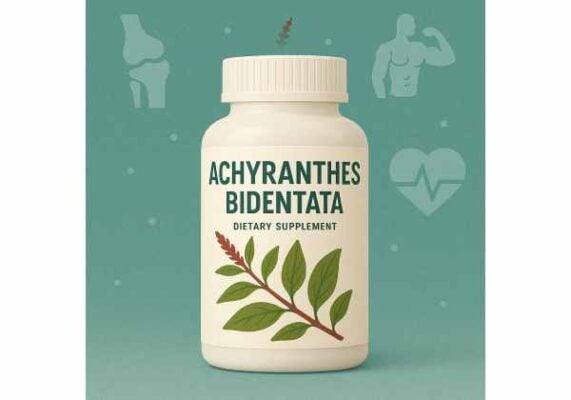 Achyranthes bidentata: Benefits, Dosage, Side Effects, and Uses ...