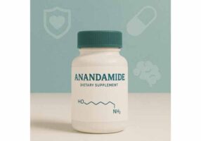 Anandamide: The Bliss Molecule’s Health Benefits, Mechanisms, and More ...