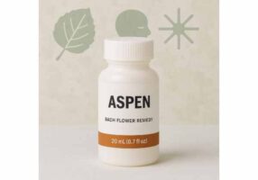 Aspen Extract: Health Benefits, Proper Dosage, and Risks Explained ...
