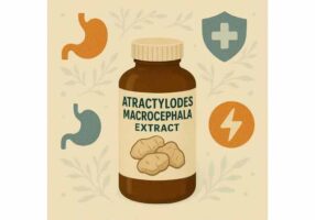 Atractylodes macrocephala: Complete Guide to Effects, Dosage, Uses, and ...