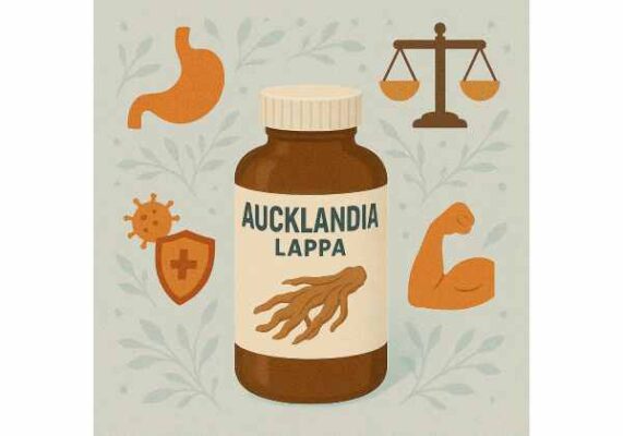 Aucklandia lappa extract: Comprehensive Benefits, Dosage, and Safety ...