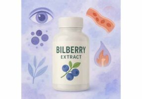 Bilberry Extract: Science-Backed Vision, Vascular, and Antioxidant ...