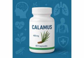 Calamus: Health Benefits, Side Effects, Dosage, and Legal Status ...