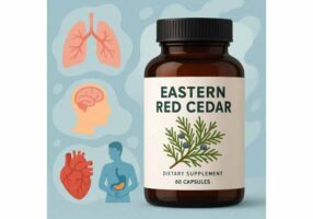 Eastern Hemlock: Top Health Benefits, Herbal Uses, Dosage, and Side ...