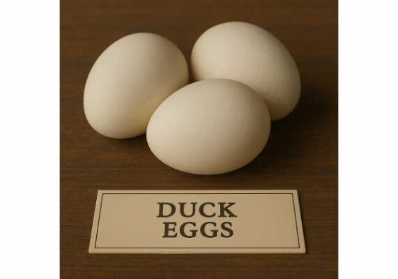 Duck eggs Benefits, nutrition facts per 100 g and how to cook them ...