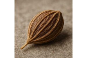 Anise seeds benefits, nutrition facts, uses, and safety explained ...