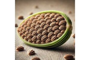 Celery seeds: Benefits and Nutrition per 100 g, Culinary Uses, and ...