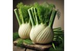 Fennel complete guide to nutrients health benefits side effects and ...