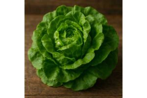 Lettuce Nutrition Facts Health Benefits and Safe Salad Tips Explained ...