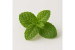 Mint health benefits and nutrition facts for digestion, skin, and ...