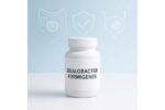 Oxalobacter formigenes: Gut Bacteria for Oxalate Control, Kidney Stone ...
