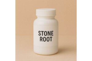 Stone root benefits and side effects for hemorrhoids, varicose veins ...