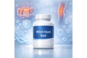 Witch hazel bark, skin benefits, hemorrhoids relief, how to use, and ...