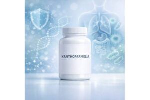Xanthoparmelia, lichen compounds and usnic acid guide for benefits ...